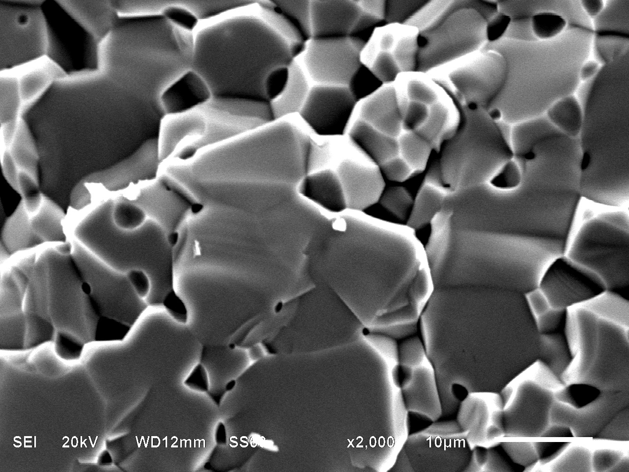 Innovation - Magroots Inc